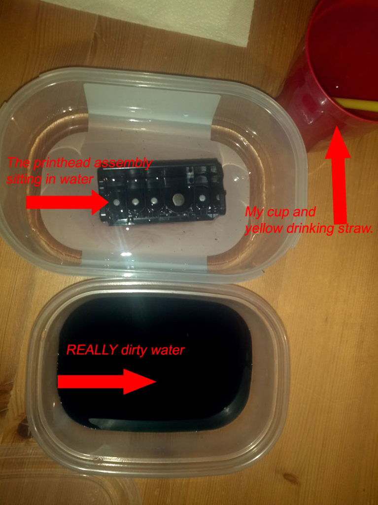 How to clean a Canon Printer Printhead – Genesis One | The Studios' Blog